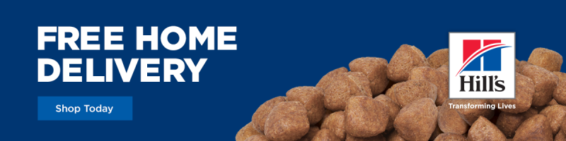 Hill's To Home - Vet in Syracuse | Stack Veterinary Hospital