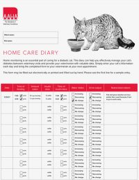 Diabetes Resources - Vet in Syracuse | Stack Veterinary Hospital