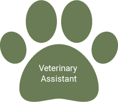 Careers - Vet in Syracuse | Stack Veterinary Hospital